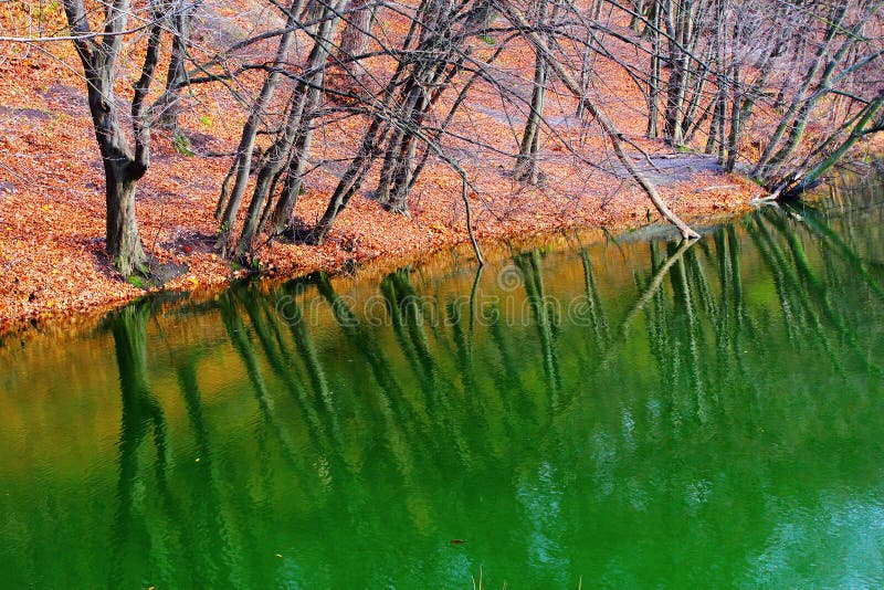 Natural symmetry stock image. Image of reflection, nature - 27791445