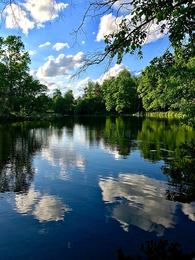 Natural symmetry stock image. Image of natural, trees - 149654933