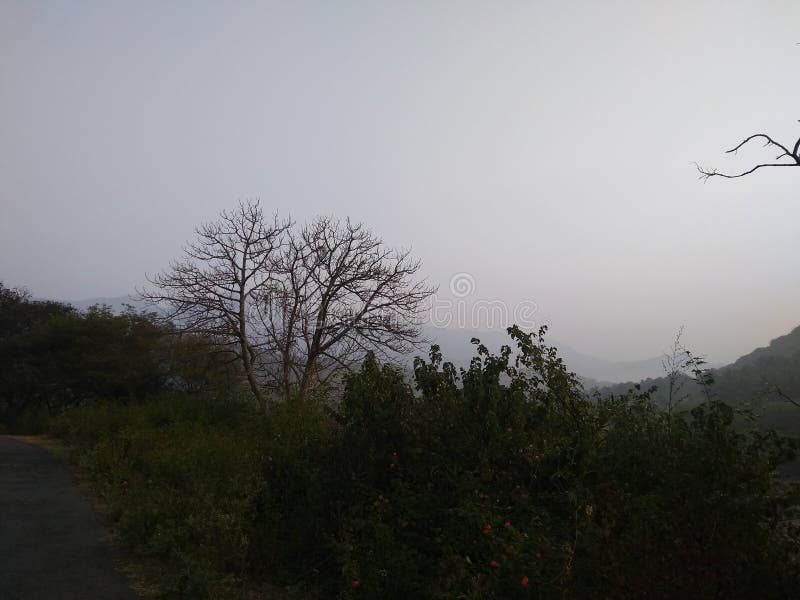 Natural system stock image. Image of system, tree, trip - 141592961