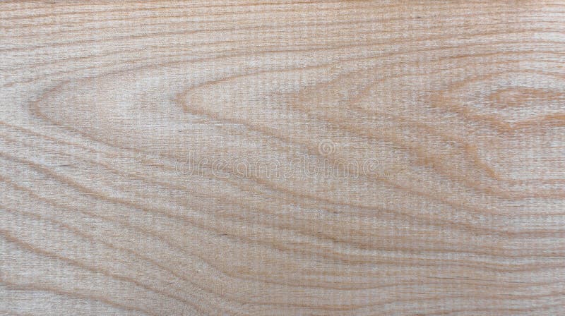 Birch Wood Grain Texture