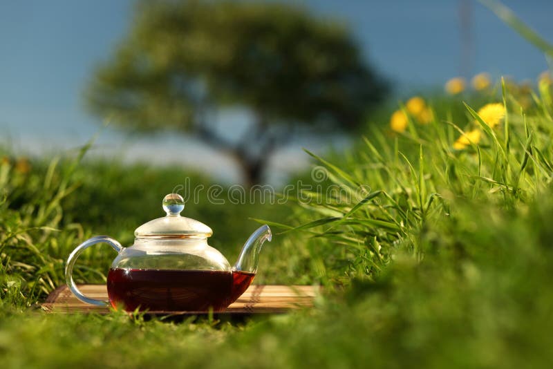Natural tea stock photo. Image of landscape, relax, brew - 15747380