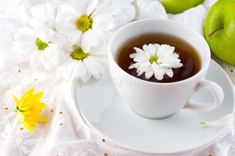 Natural tea stock image. Image of relax, teacup, health - 9246703