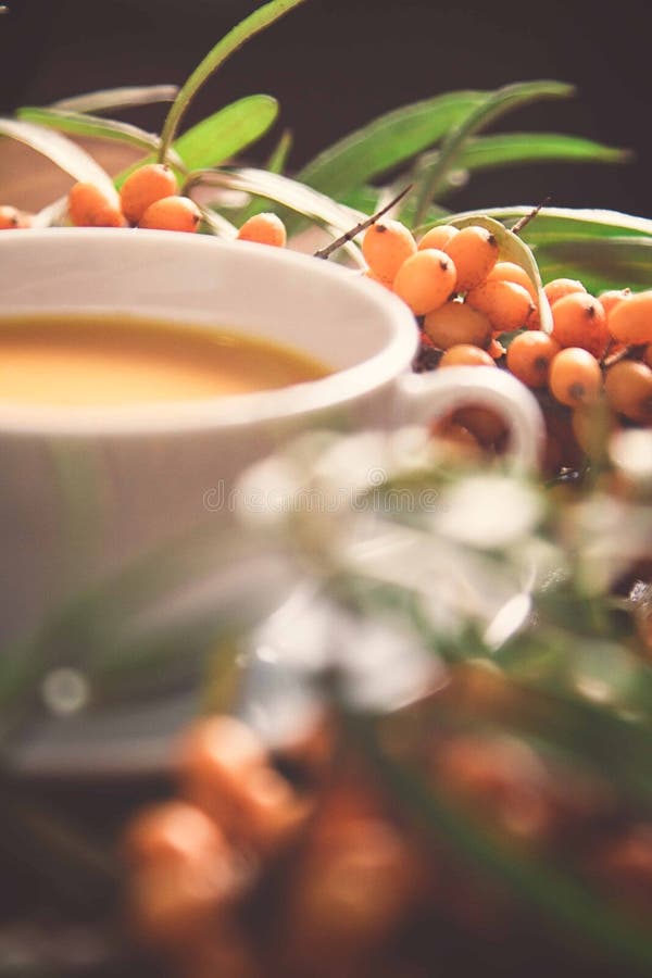 Natural Tea Behind the Branches and Leaves Stock Photo - Image of ...