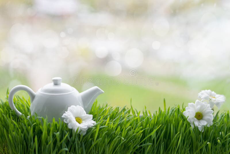 Natural tea on green grass stock image. Image of landscape - 41380295