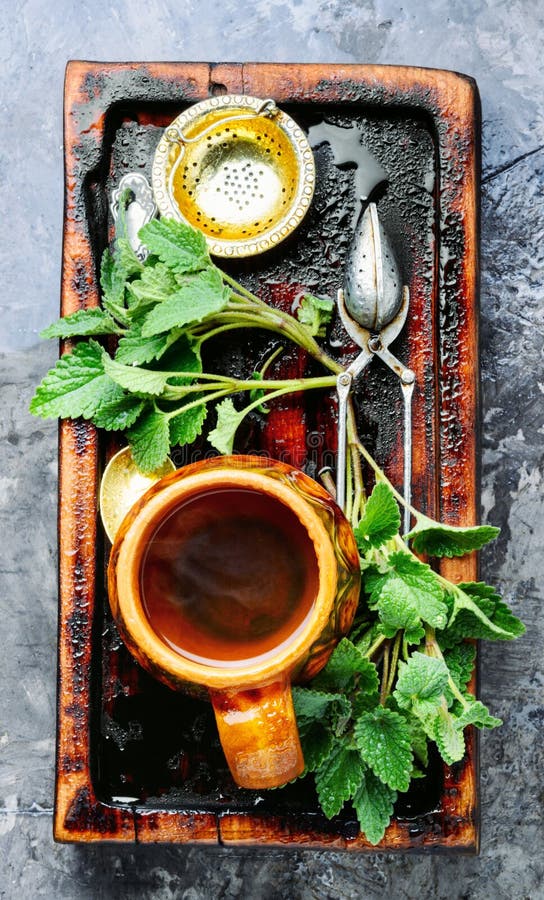 Natural tea with melissa stock photo. Image of plant - 145077168