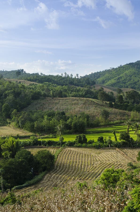 Natural Terrace with Mountain and Sky Backdrop Stock Image - Image of ...