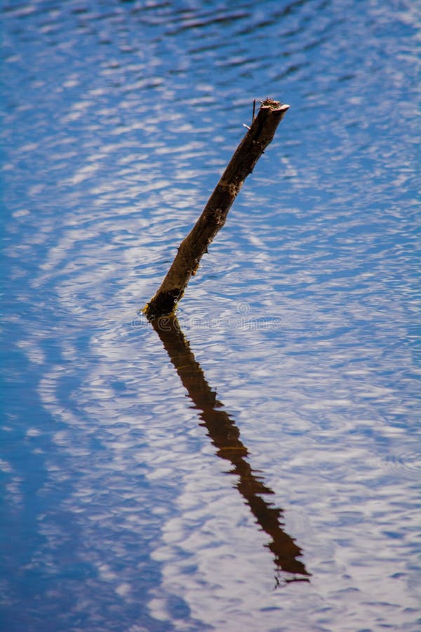 Natural Texture, Clean Water of the Lake Stock Photo - Image of wind ...