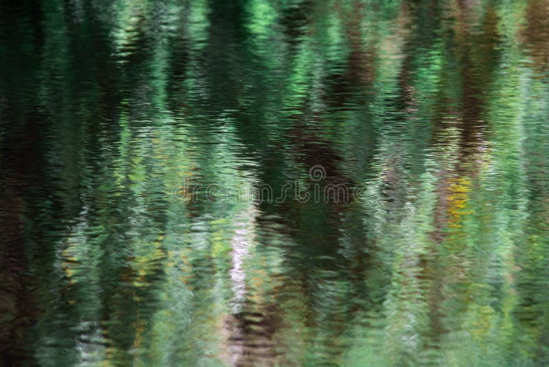 Natural Texture, Clean Water of the Lake Stock Image - Image of branch ...