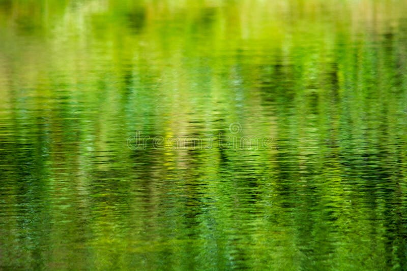 Natural Texture, Clean Water of the Lake Stock Photo - Image of nature ...