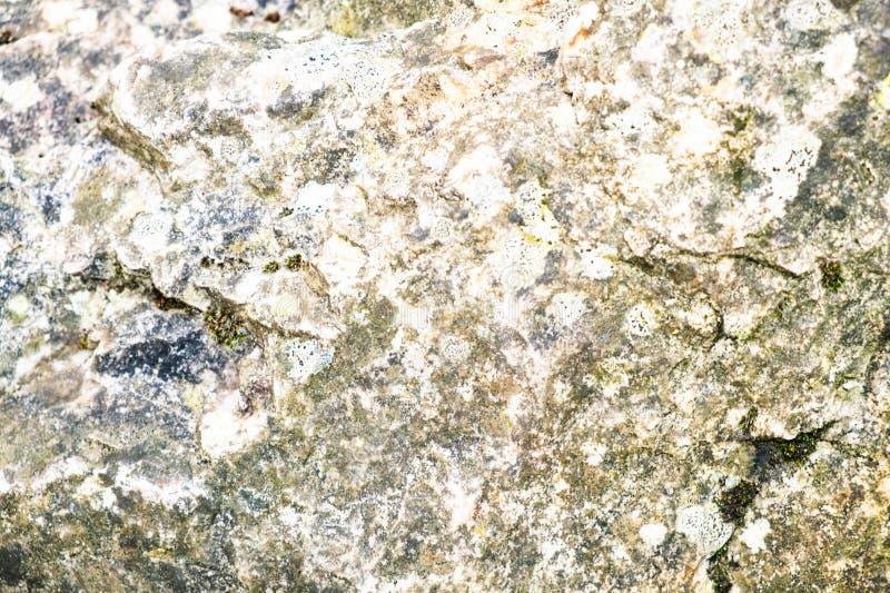 Natural Texture Close-Up of Weathered Moss-Covered Rock Surface Stock ...