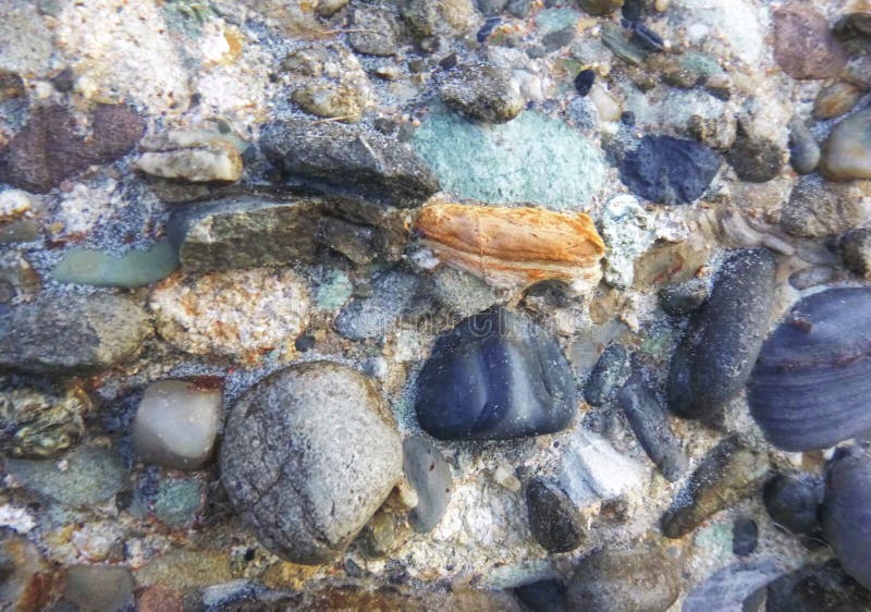 Quartz Conglomerate Sedimentary Rocks Stock Photo - Image of bituminous ...