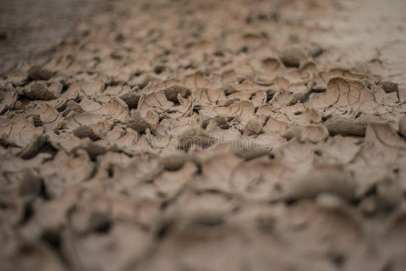 The Natural Texture of the Dead Landscape with Copyspace: Dry Cracked ...