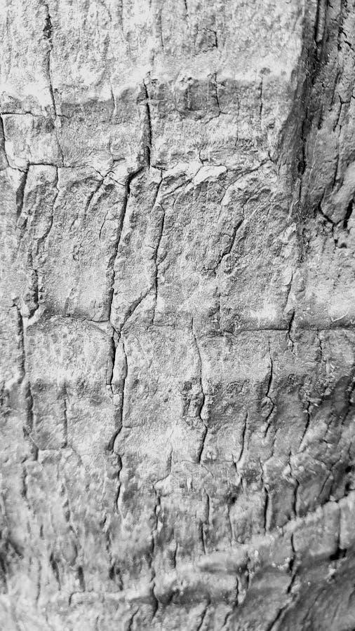 Natural Texture is a Form of Surface Feel of Materials that Already ...