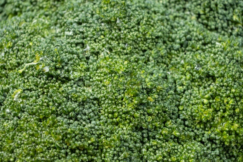 Natural Texture of Fresh Raw Broccoli in Macro Stock Photo - Image of ...