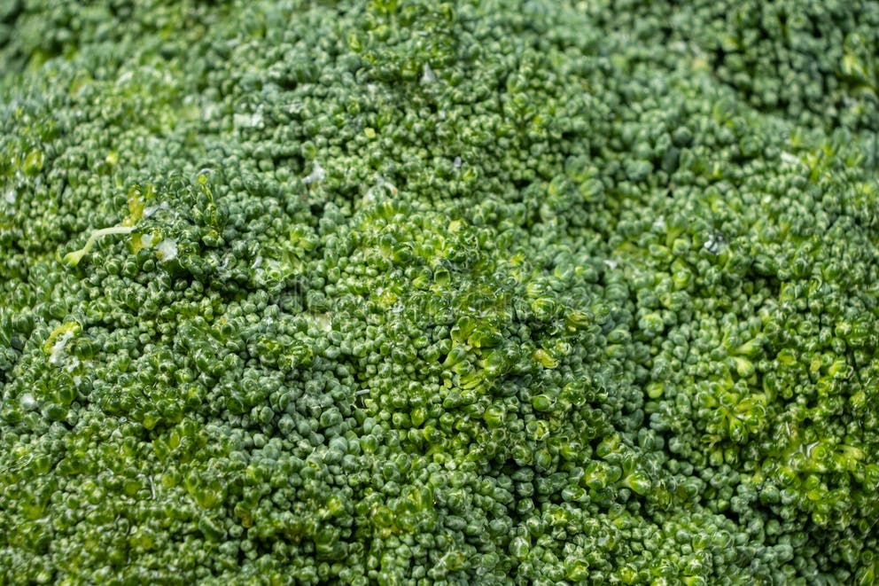 Natural Texture of Fresh Raw Broccoli in Macro Stock Photo - Image of ...