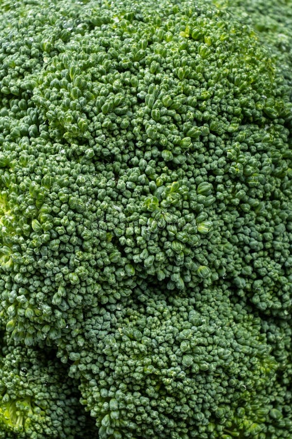 Natural Texture of Fresh Raw Broccoli in Macro Stock Photo - Image of ...