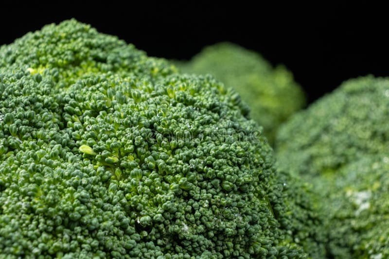 Natural Texture of Fresh Raw Broccoli in Macro Stock Photo - Image of ...