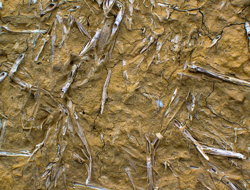 Natural Texture of the Ground Stock Image - Image of natural, state ...