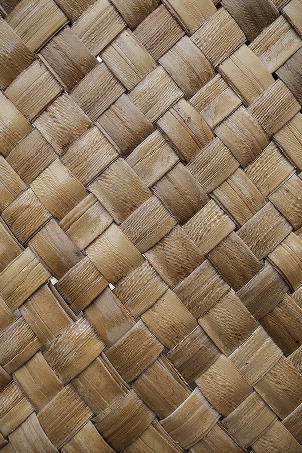 Natural texture stock image. Image of tree, timber, rough - 40879381