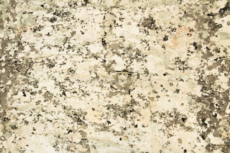 Natural Texture of Light-colored Stone Covered with Variegated Stains ...