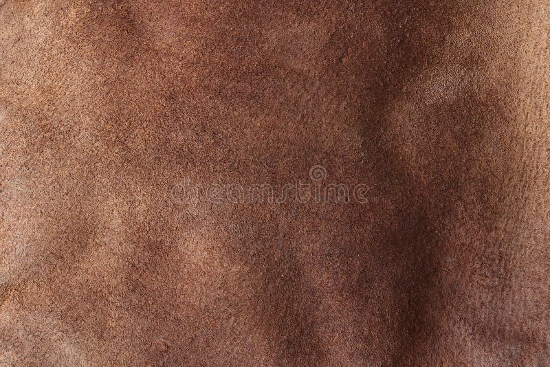 Skin texture. stock photo. Image of backgrounds, backdrop - 240345156