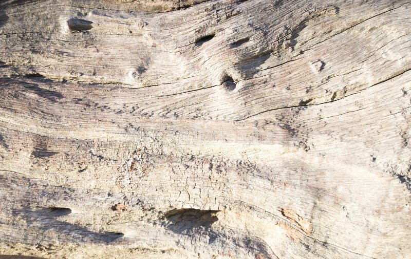Natural Texture of Old Wood Stock Photo - Image of texture, idea: 327927086