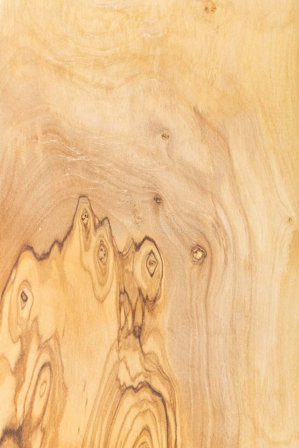 Natural Texture of Olive Tree Board Stock Image - Image of pattern ...