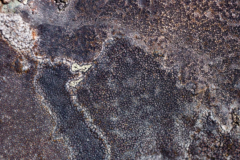 The Natural Texture and Pattern in a Stone Weathered by Water, Wind and ...