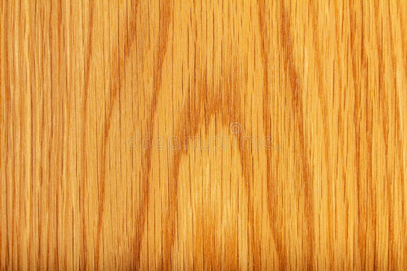 Treated oak wood texture stock image. Image of decorative - 183549681