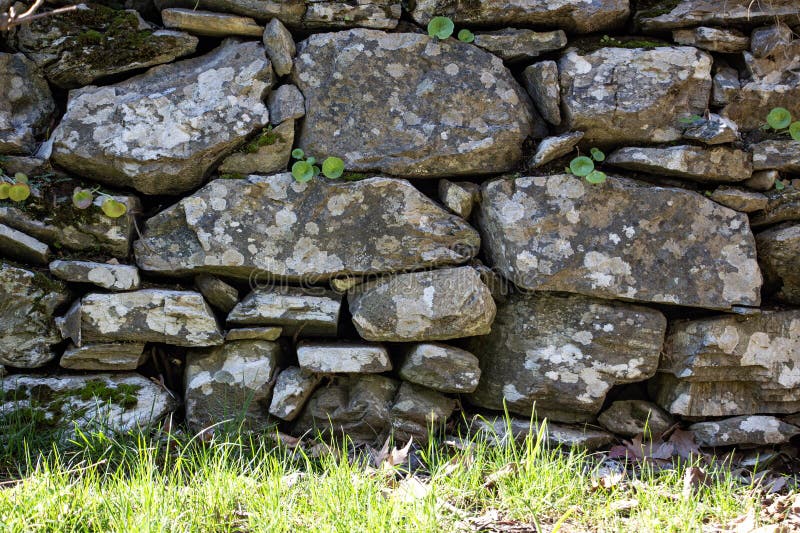 Natural Texture of Stone Wall. Stone Wall with Green Grass.Stone Wall ...
