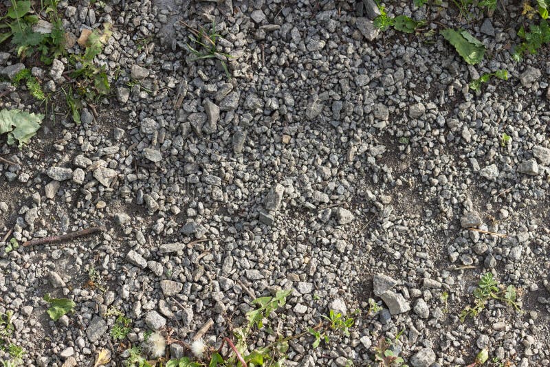 Natural Texture with Stones, Earth and Grass Stock Photo - Image of ...