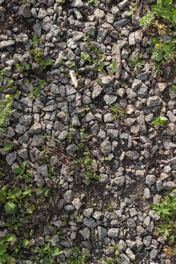 Natural Texture with Stones, Earth and Grass Stock Photo - Image of ...