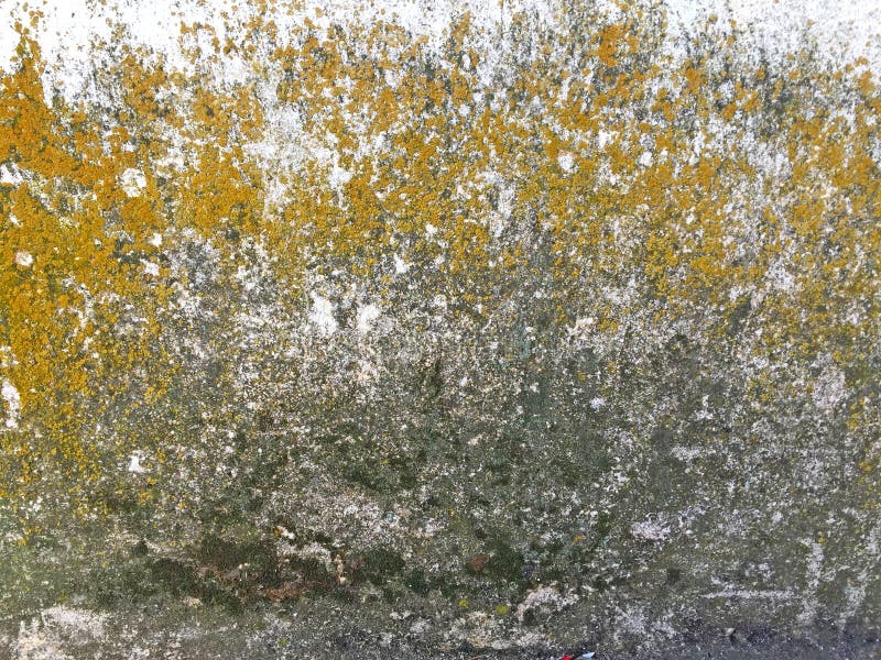 Natural Texture of Wet on a White Wall Stock Photo - Image of cracked ...