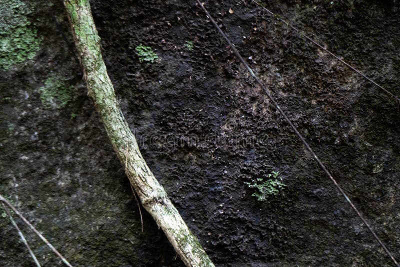 Natural Textured Background for Card or Invitation Design Stock Image ...