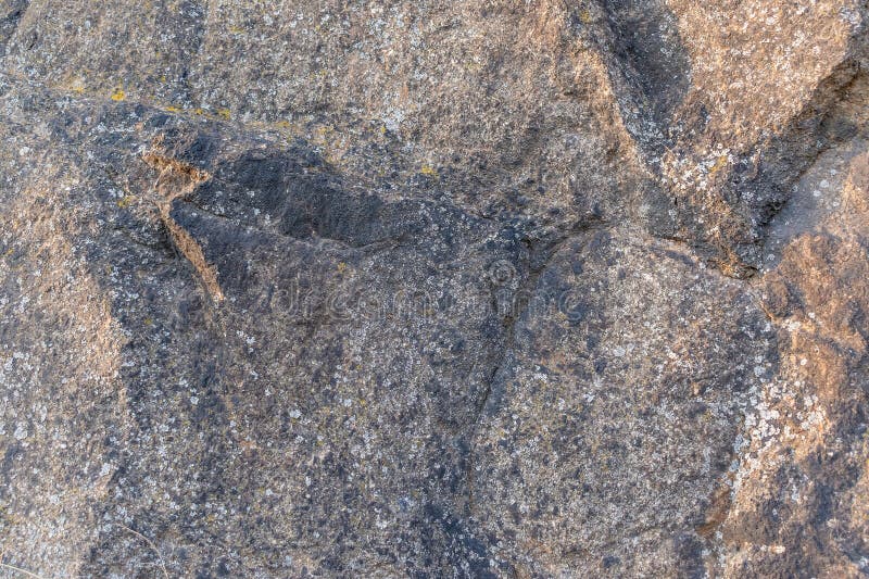 Natural Textured Stone Surface with Unique Patterns Lichens Weathering ...