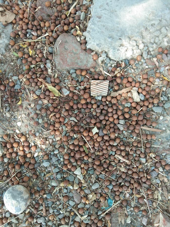 Natural textures of world. stock image. Image of bright - 188015837