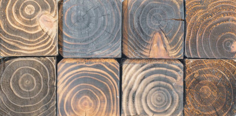 Natural Textures and Wood Patterns in Various Forms of Gnarl Stock ...