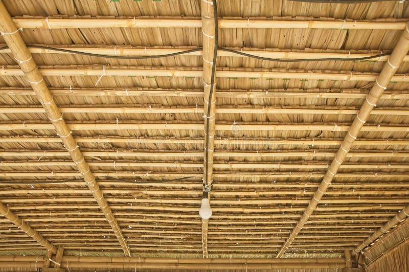 Natural dry thatch stock image. Image of dried, roofing - 32785143