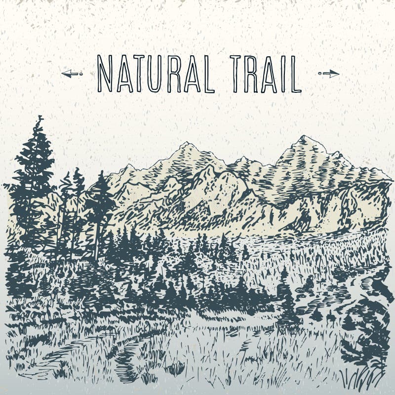 Sketch Woodland Trail Stock Illustrations – 53 Sketch Woodland Trail ...