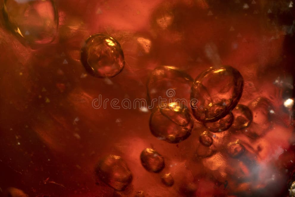 Natural Tree Amber Resin Macro Stock Image - Image of resin, pattern ...