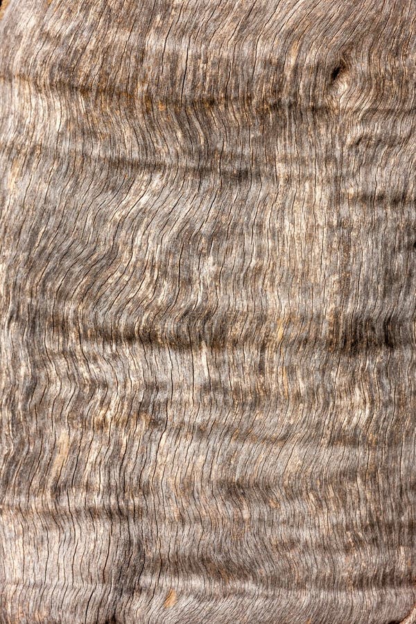 Natural tree bark stock image. Image of carpentry, board - 53107887