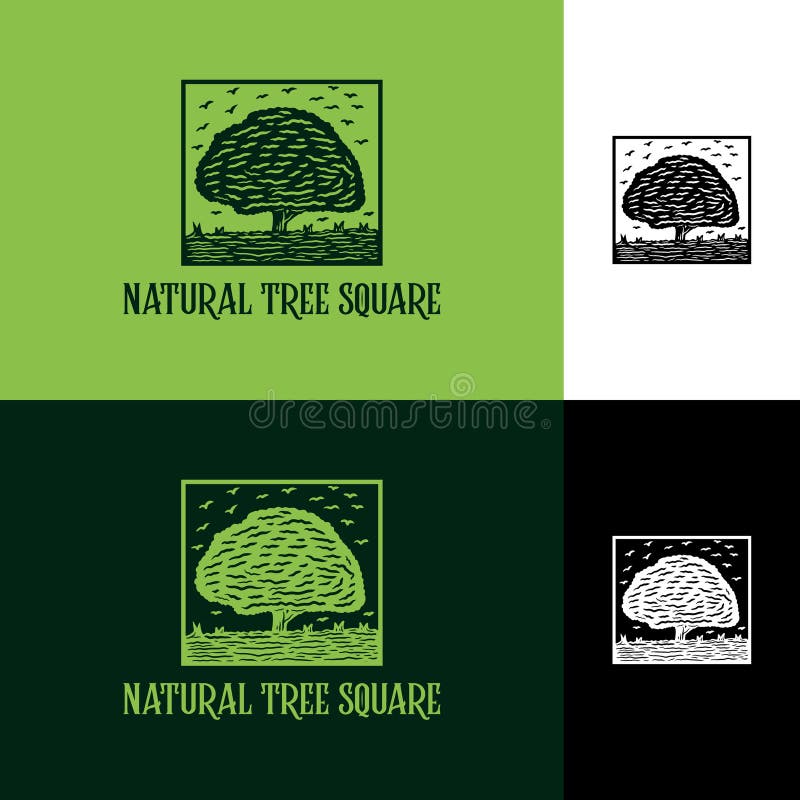 Natural Tree Square Logo Design Green Plant Flora Symbol Vector Graphic ...
