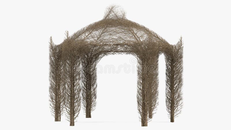 Natural Tree Structure Inspired Architectural Design Model Stock Photo ...