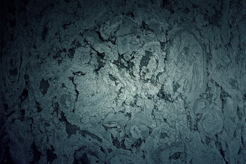 Natural tree texture stock image. Image of macro, hard - 137199137