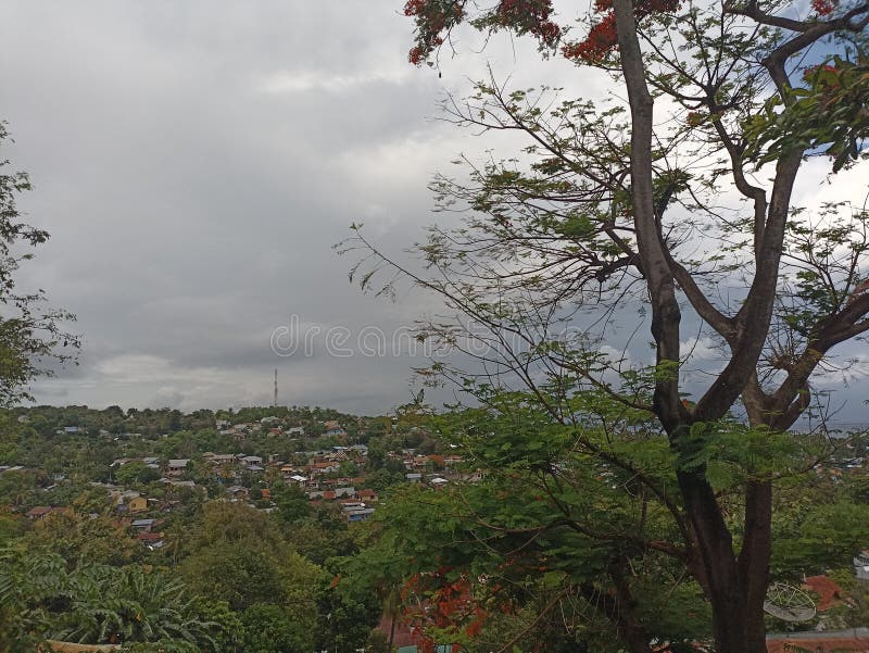 Natural Trees and Cloudy View from Balcony Stock Photo - Image of ...