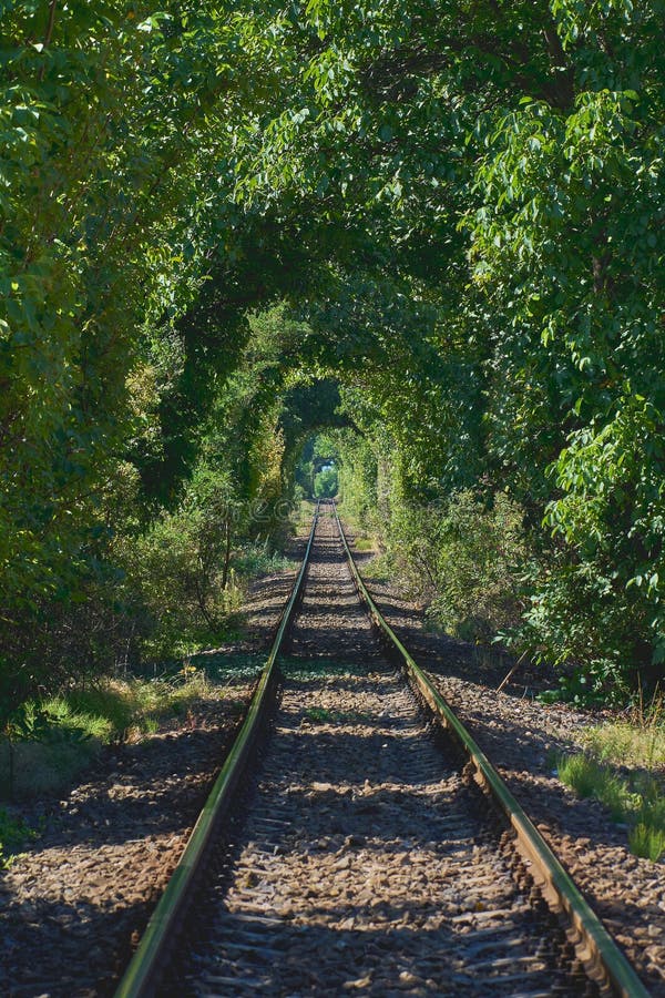 Natural Tunnel on the Railway at Campulung Muscel Stock Image - Image ...