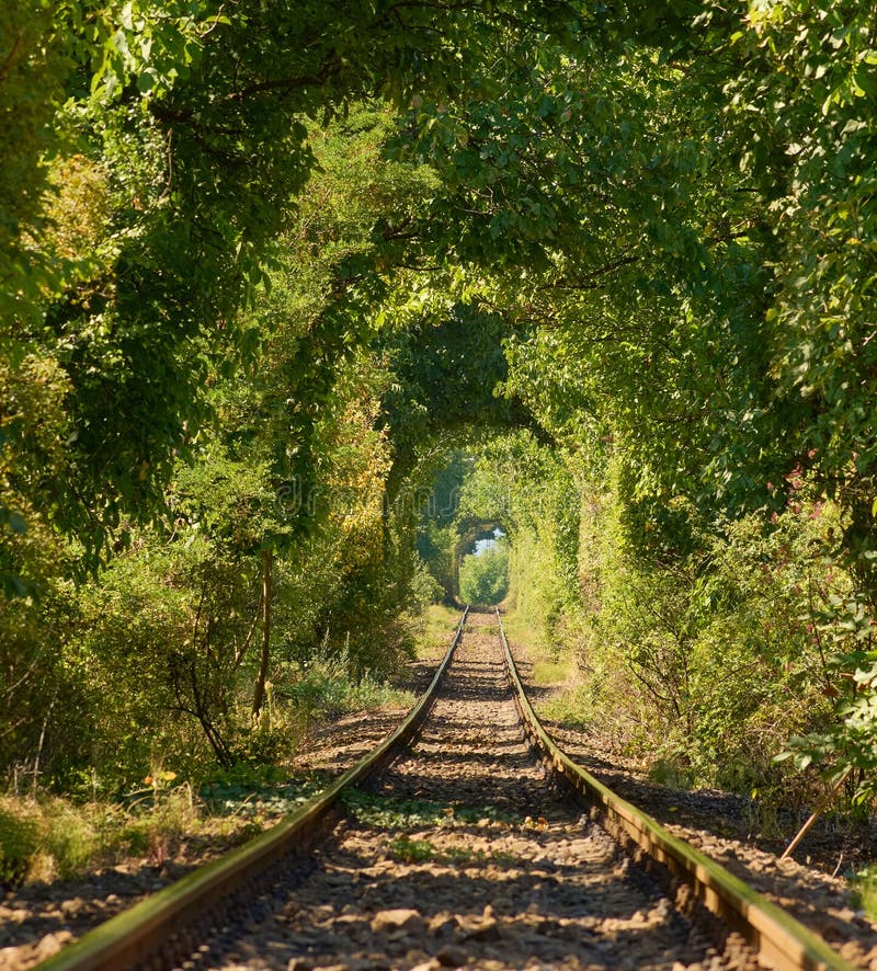 Natural Tunnel on the Railway at Campulung Muscel Stock Photo - Image ...