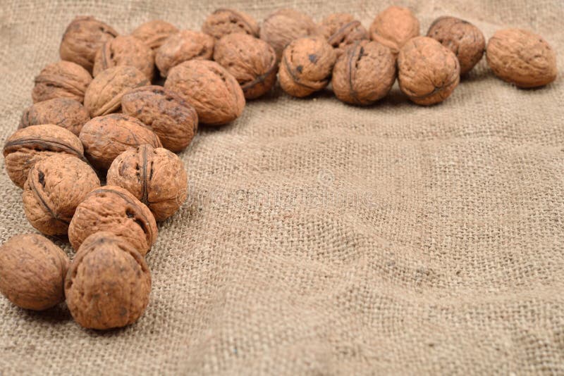 Natural, Unbroken Nuts on a Jute Bag Background. Selective Focus Stock ...