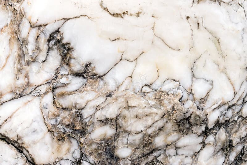 Unpolished White and Colorless Rocks with Names Stock Photo - Image of ...