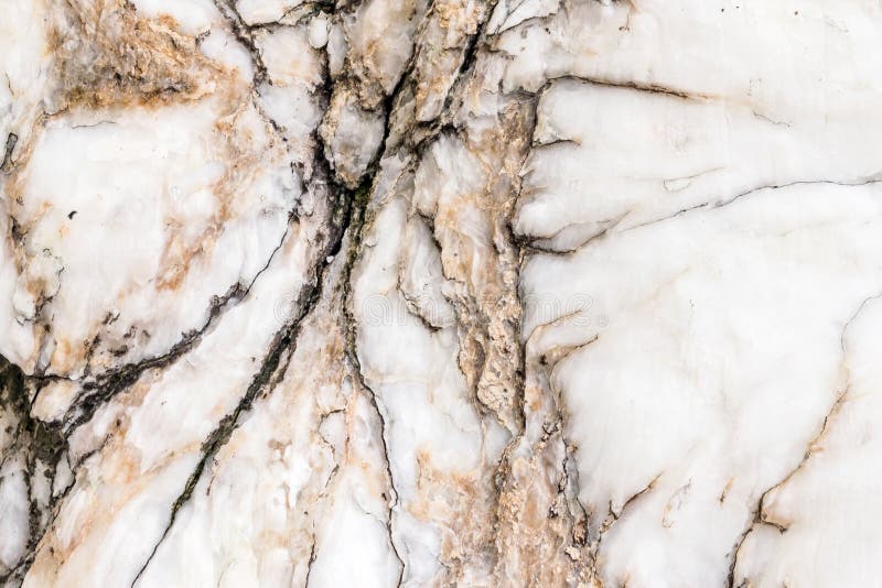 Unpolished White and Colorless Rocks with Names Stock Photo - Image of ...